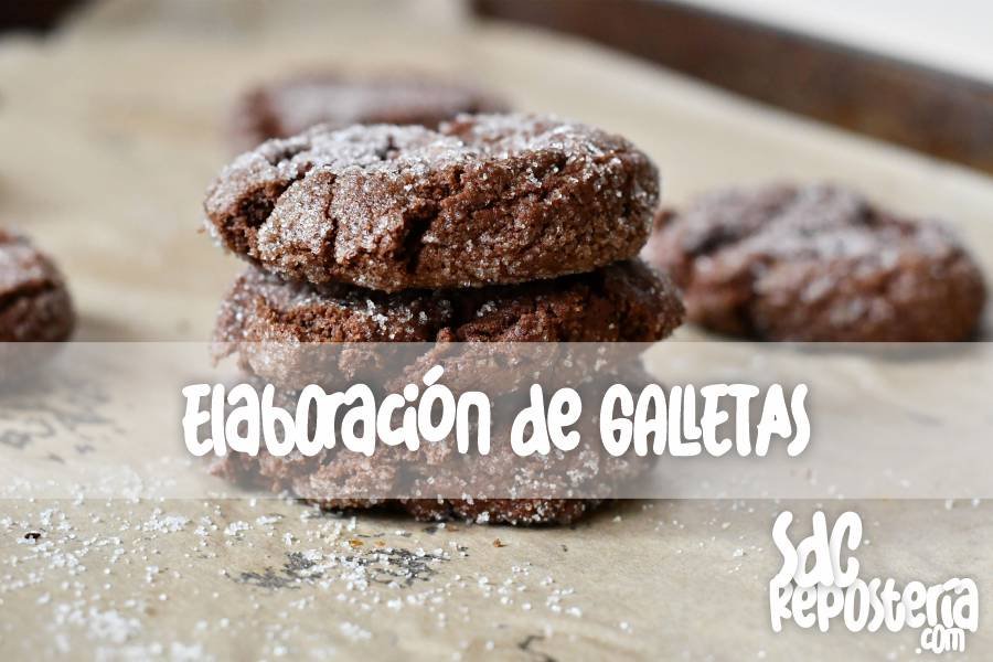 Servicios para la Elaboración de GALLETAS Finas 👩‍🍳 🧁